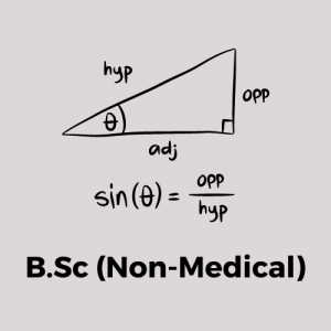 PU Previous Year Question Papers 2022 - PUPAPERS
